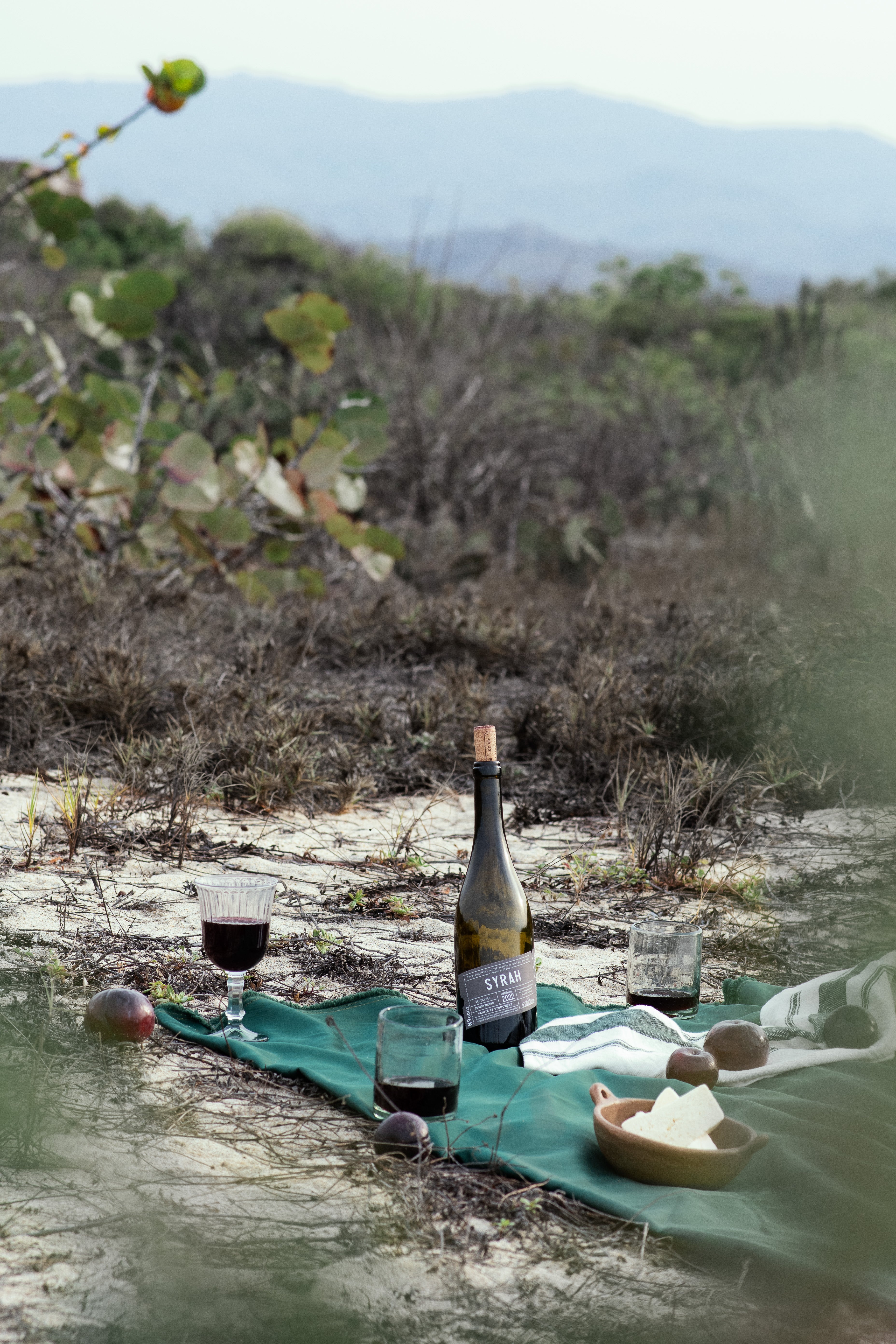 Arena, Brisa y Sol – Somos Vino